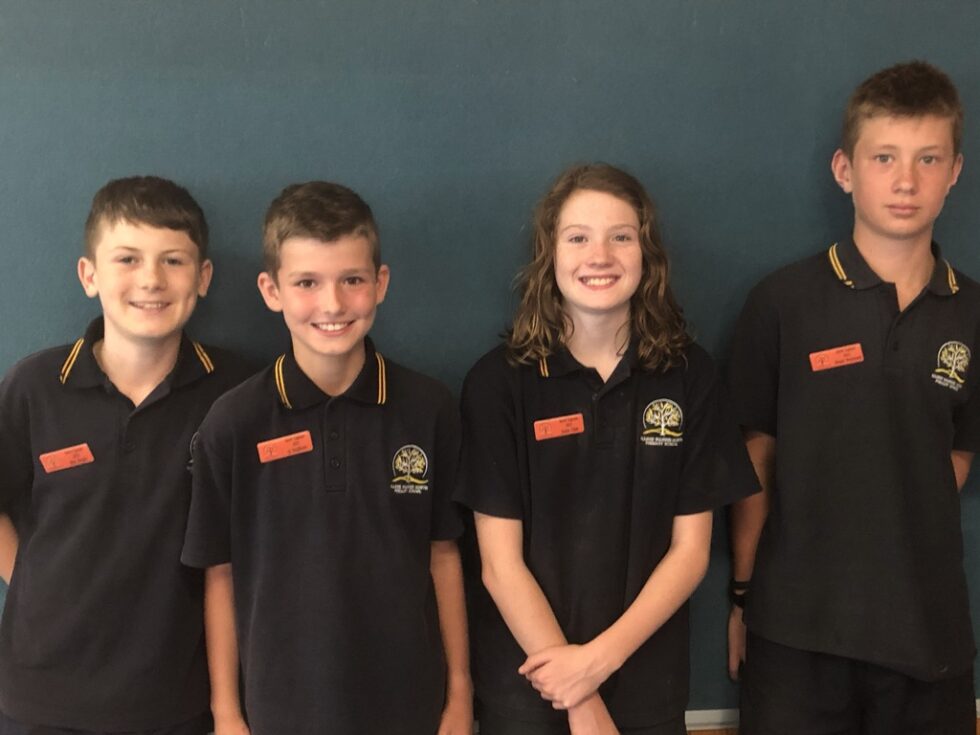 Curriculum | Narre Warren North Primary School