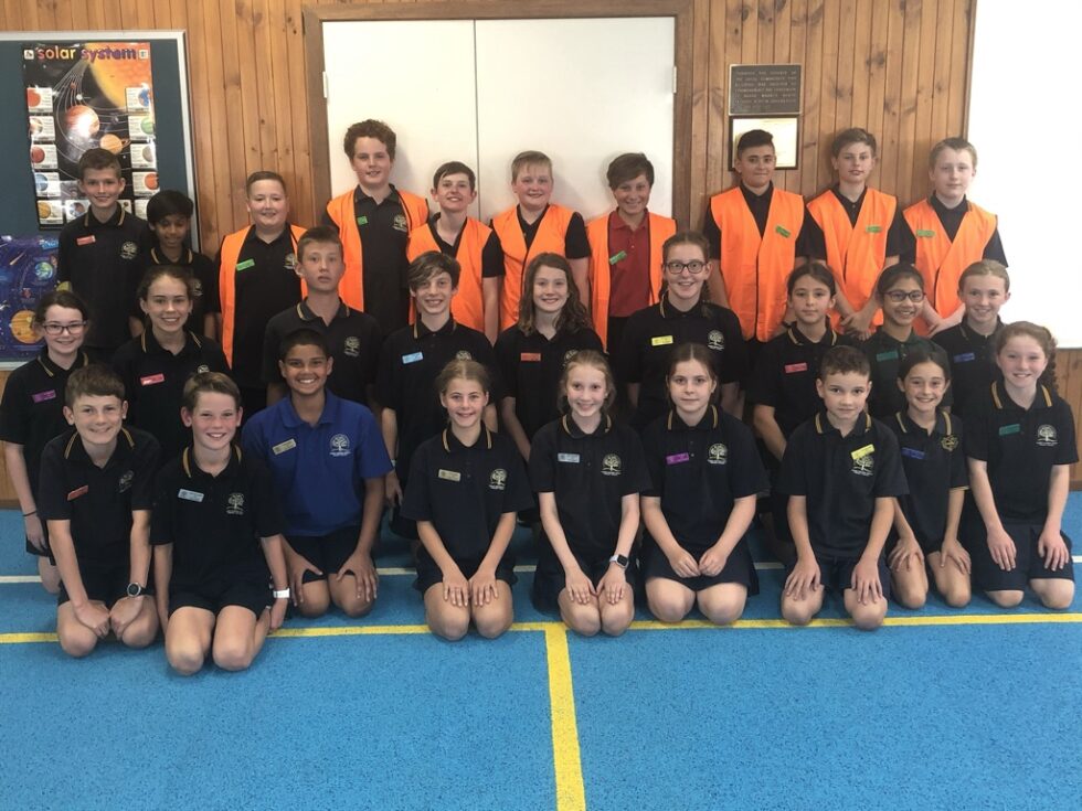 Curriculum | Narre Warren North Primary School