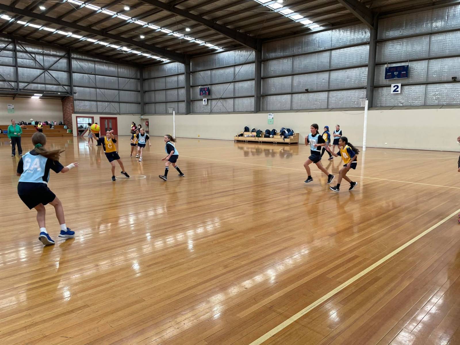 News | Narre Warren North Primary School