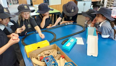 Curriculum | Narre Warren North Primary School