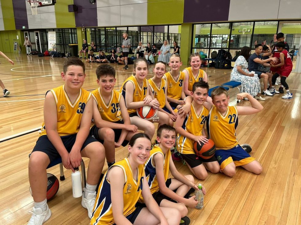 Curriculum | Narre Warren North Primary School